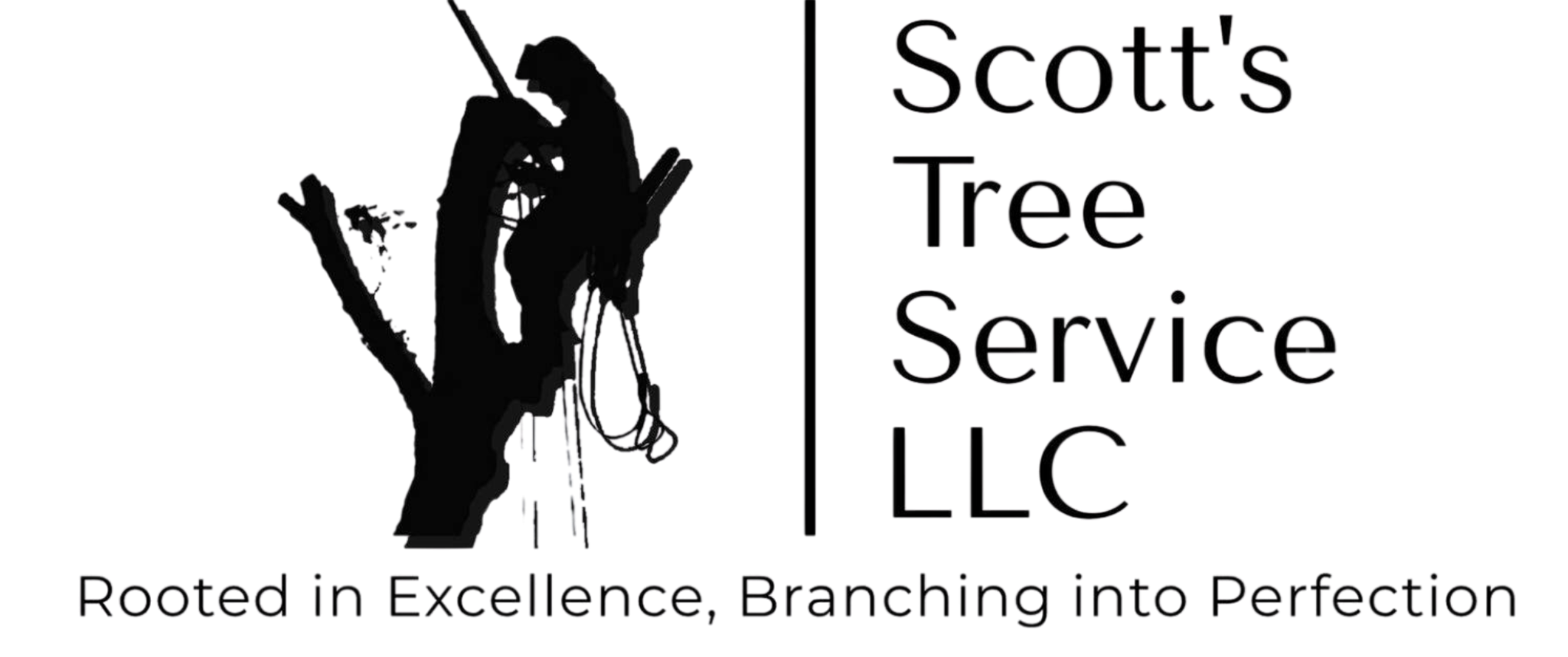 Scott’s Tree Service | Expert Tree Care in Winchester VA