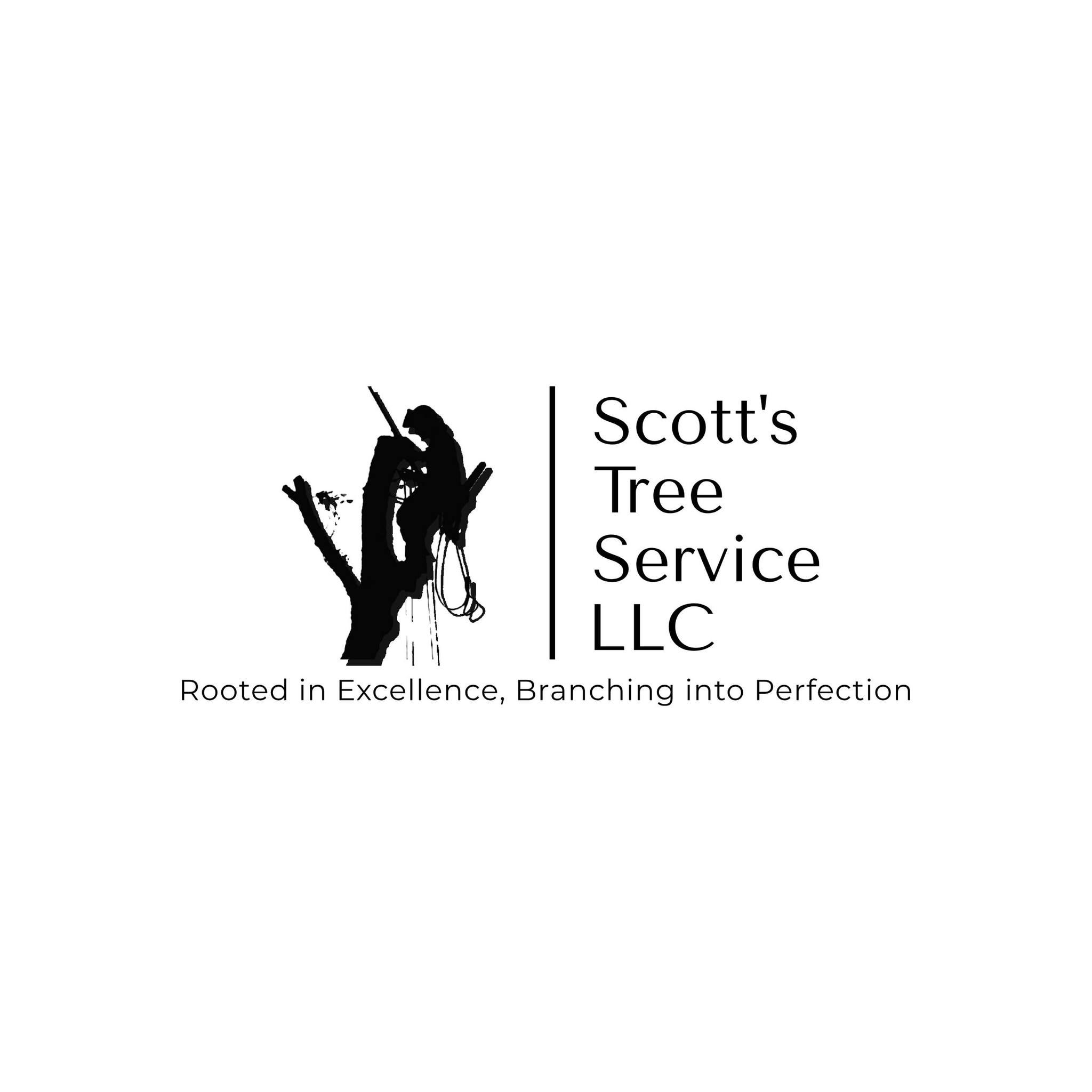Scott’s Tree Service | Expert Tree Care in Winchester VA